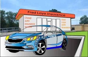 Loya Insurance Locations | Find an office in your area